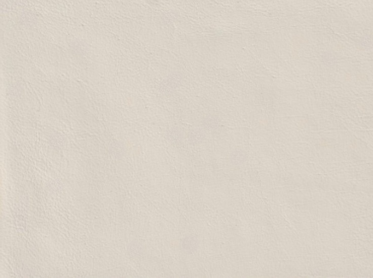 Aston Martin Truffle Cream – Hydes Leather