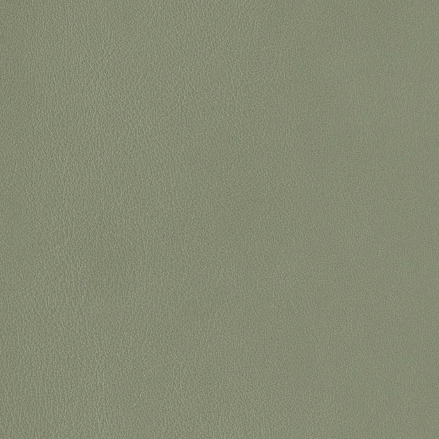 Astro Fern – Hydes Leather